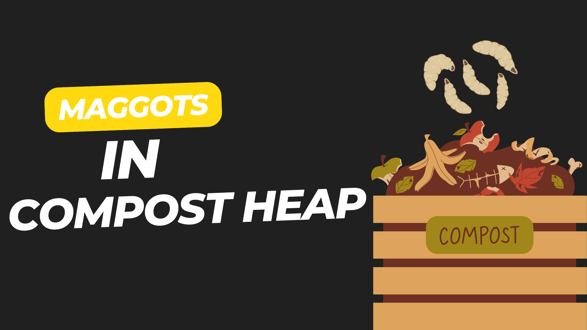 Maggots in Compost Heap: Good or Bad? What You Need to Know